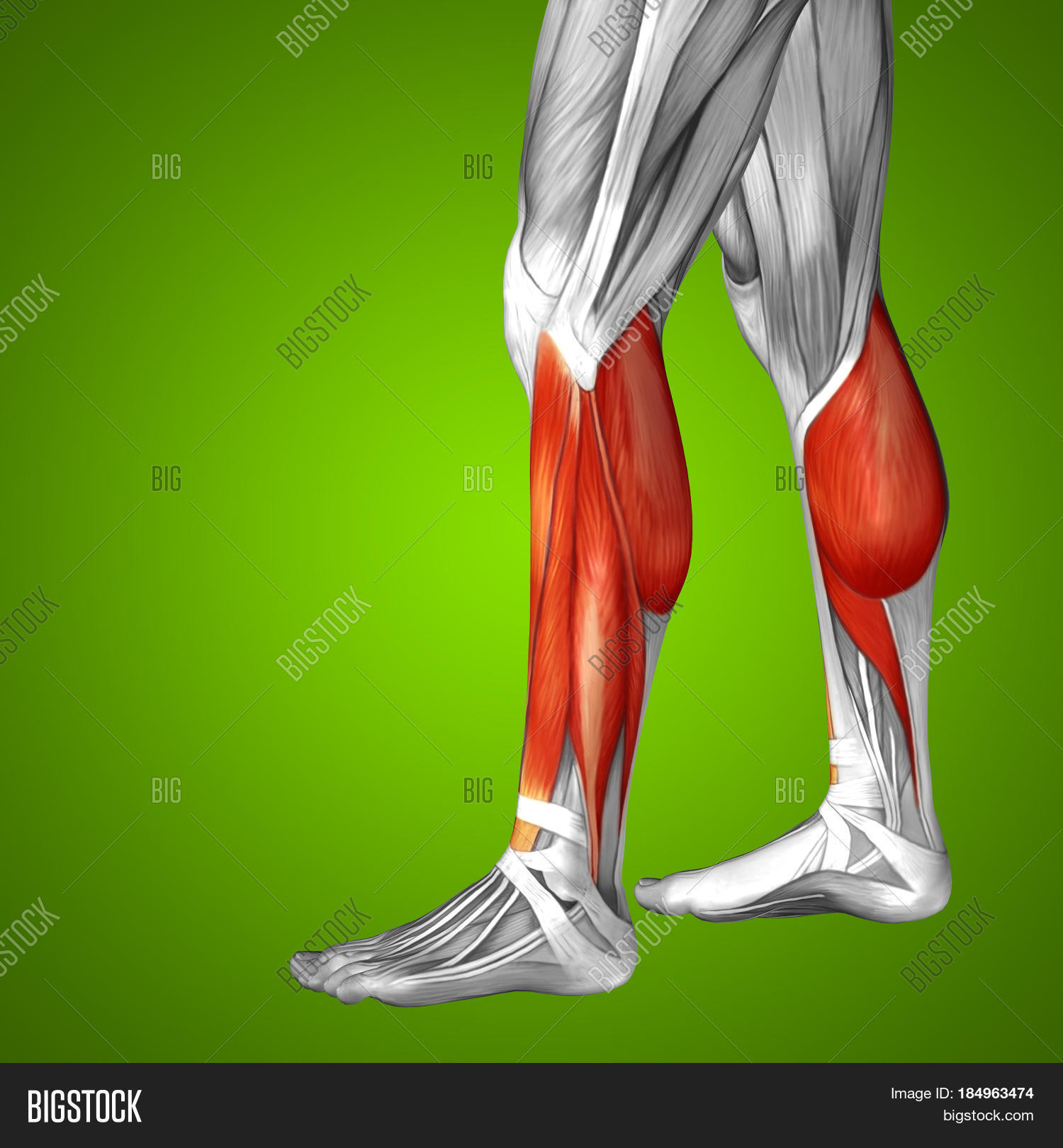 Concept Conceptual 3D Image & Photo (Free Trial) | Bigstock