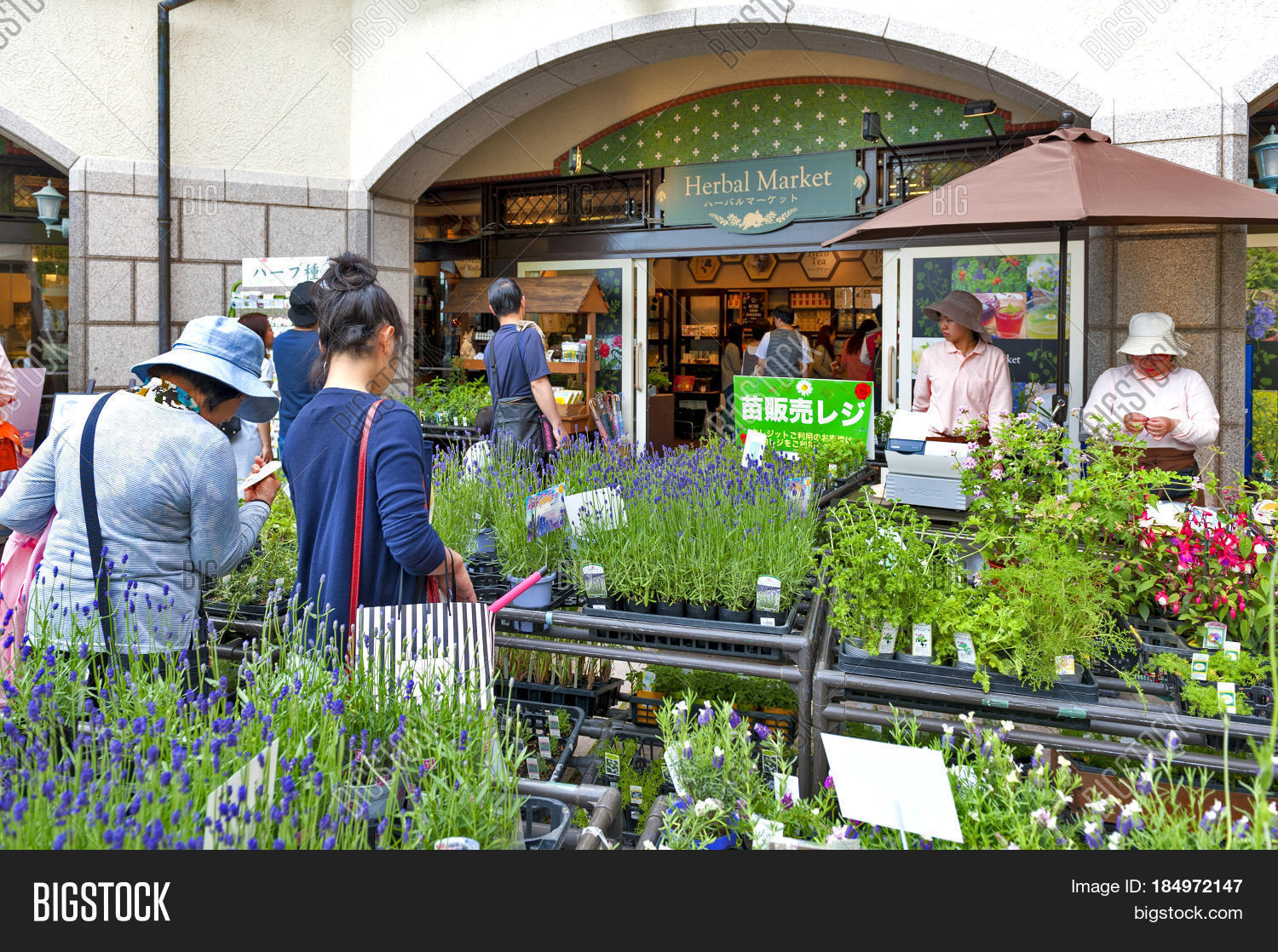 Kobe, Japan - April Image & Photo (Free Trial) | Bigstock