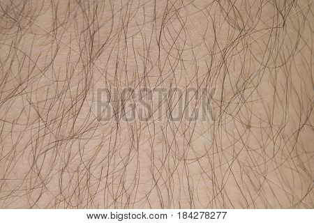 Real Human Skin Hair Image & Photo (Free Trial) | Bigstock