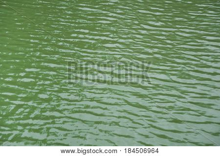 Light Green Lake Water Image & Photo (Free Trial) | Bigstock