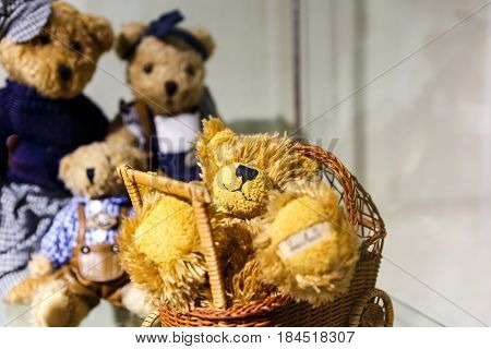 Beautiful Teddy Bears Image & Photo (Free Trial) | Bigstock