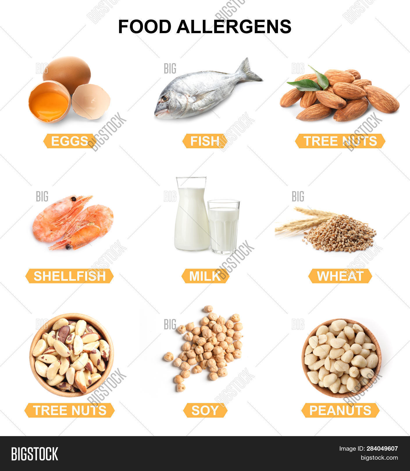 Set Different Products Image & Photo (Free Trial) | Bigstock
