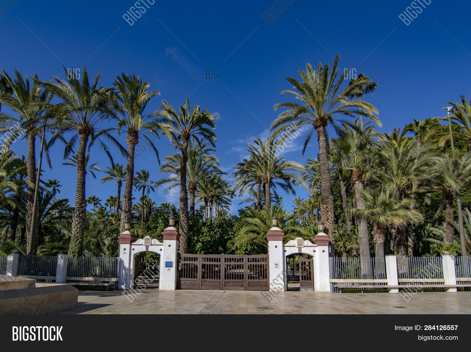 Elche, Alicante, Spain Image & Photo (Free Trial) | Bigstock