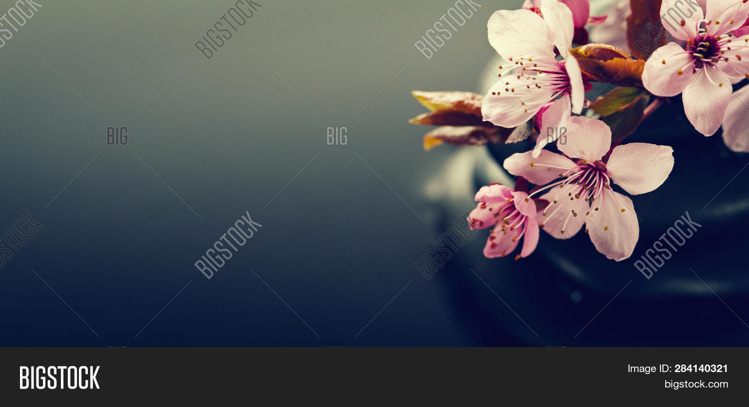 Dark Background Spa Image & Photo (Free Trial) | Bigstock