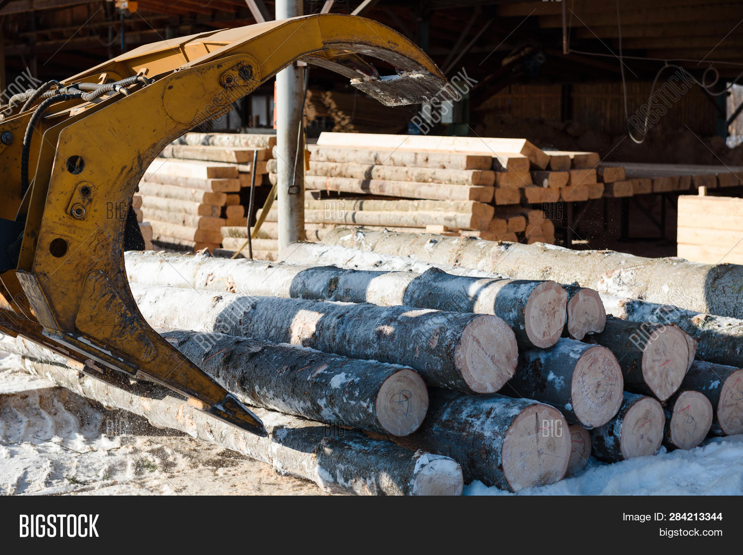 Tractor Loads Logs. Image & Photo (Free Trial) | Bigstock