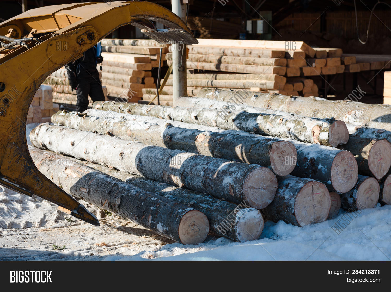 Tractor Loads Logs. Image & Photo (Free Trial) | Bigstock