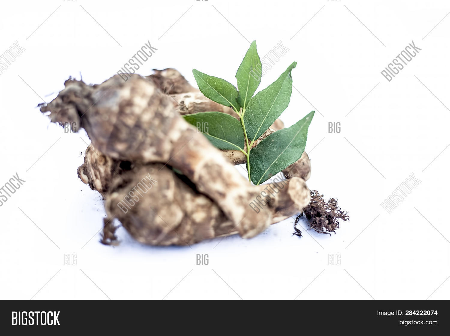 Close Rare Vegetable . Image & Photo (Free Trial) | Bigstock