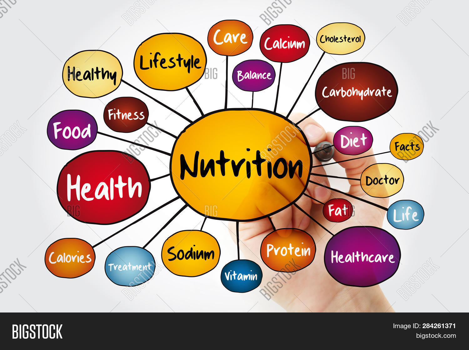 Nutrition Mind Map Image & Photo (Free Trial) | Bigstock