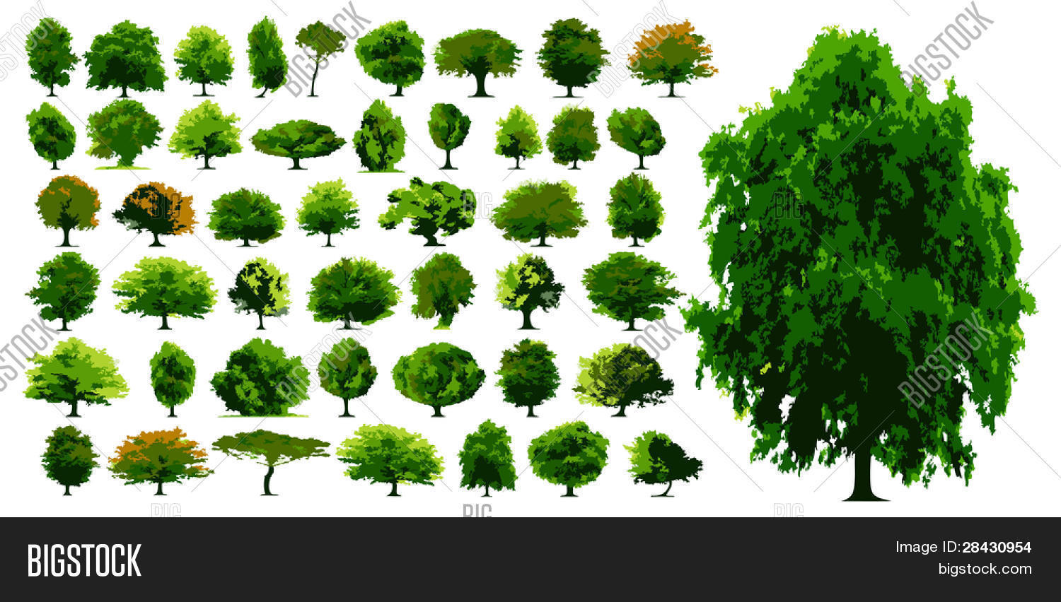 Vector Trees - This Vector & Photo (Free Trial) | Bigstock