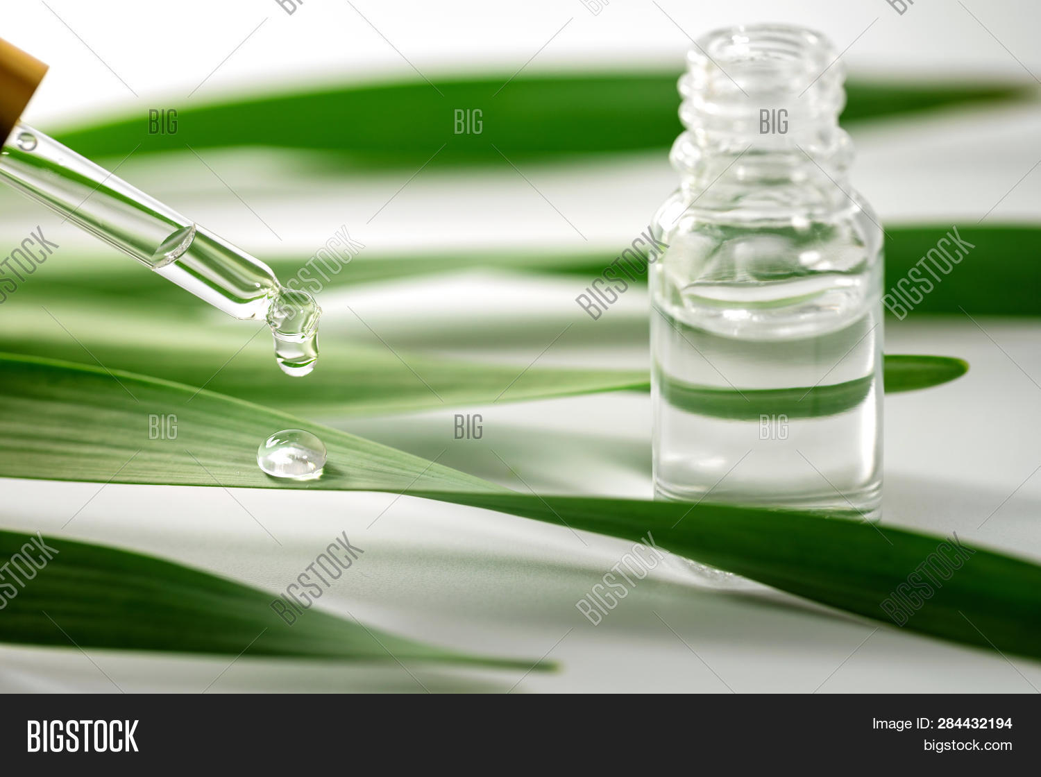 Essential Oil Drop Image & Photo (Free Trial) | Bigstock