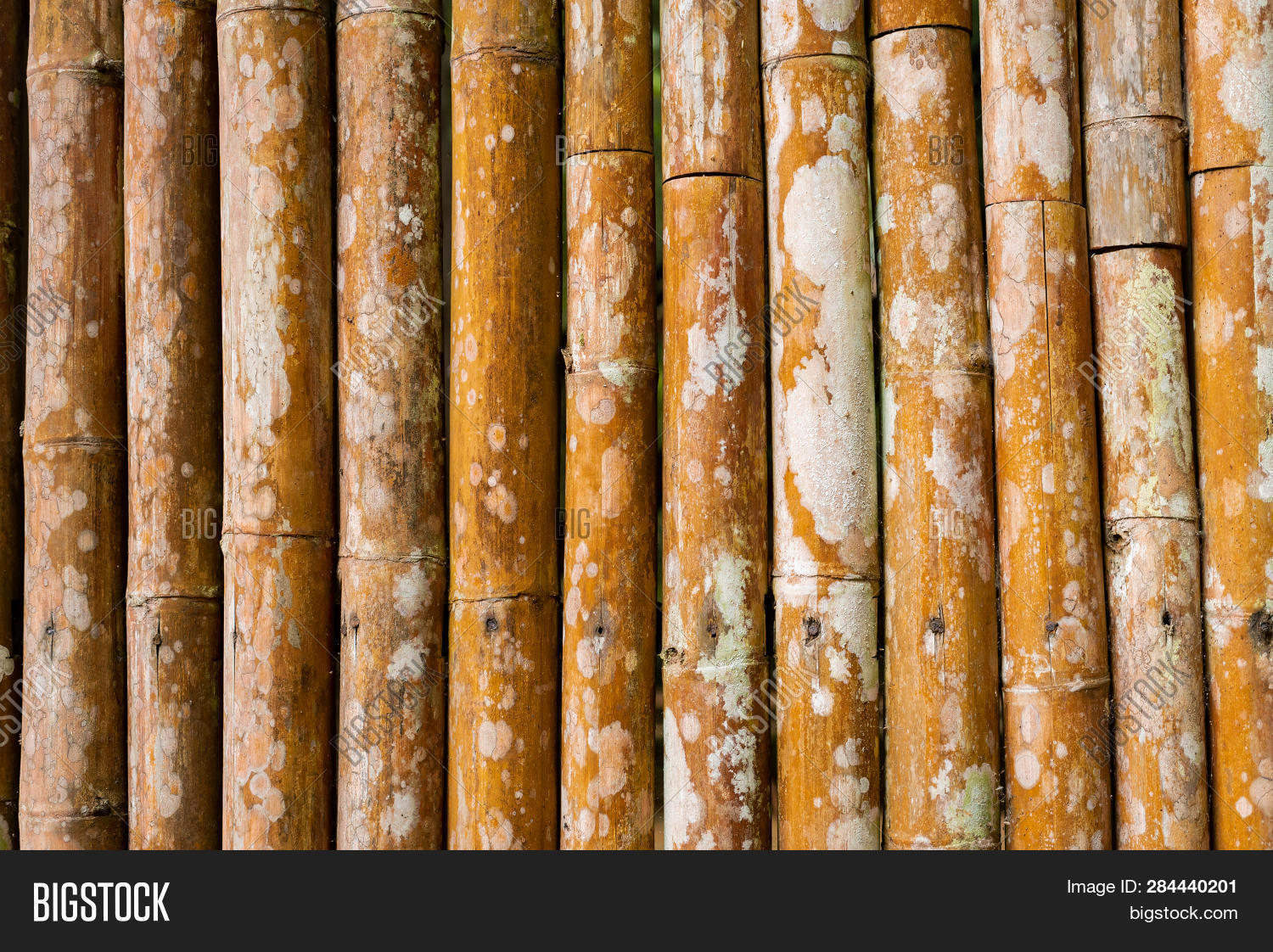 Old Brown Tone Bamboo Image & Photo (Free Trial) | Bigstock