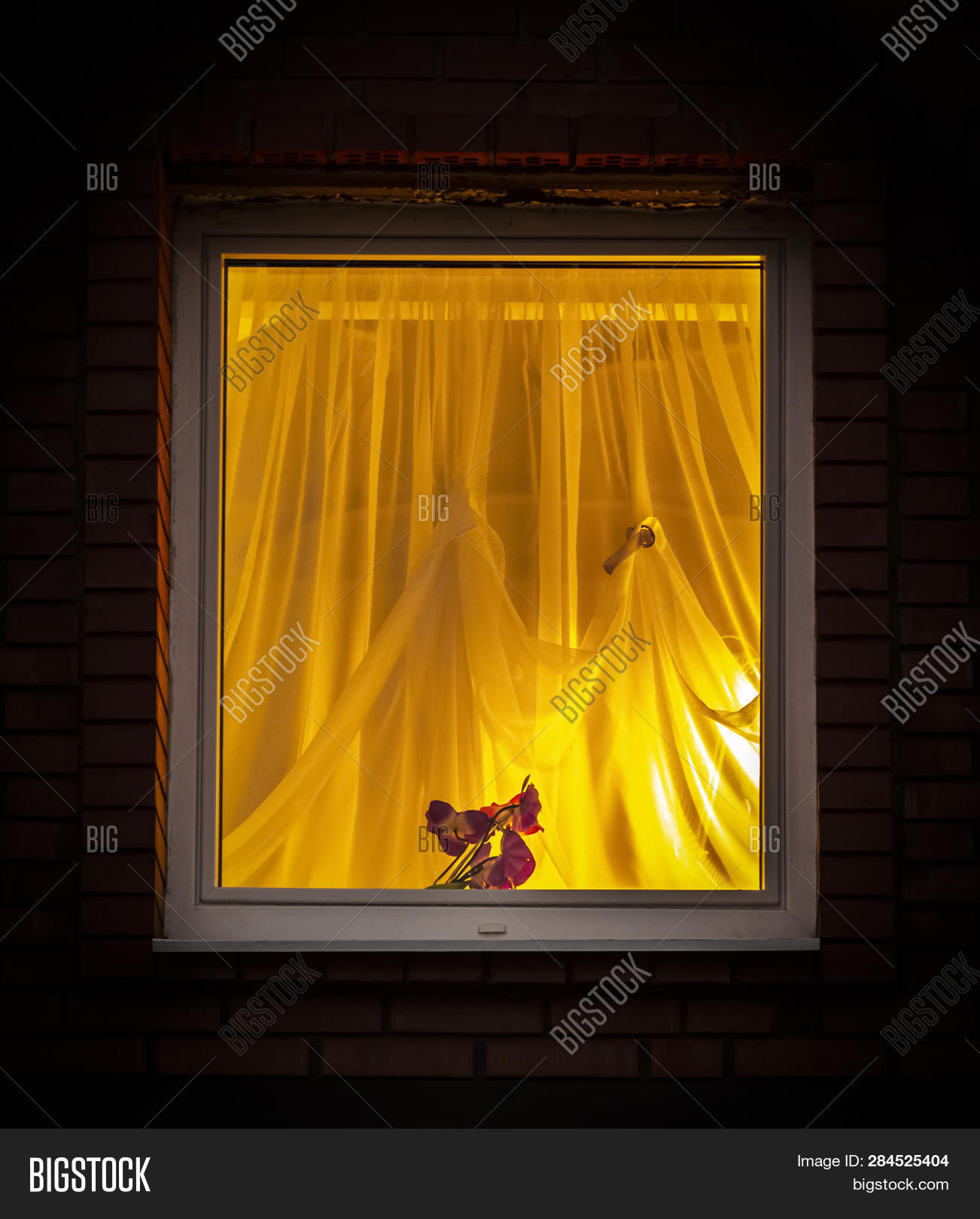 Light Window Image & Photo (Free Trial) | Bigstock