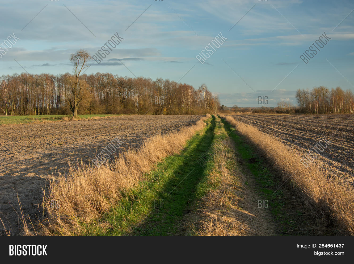 Dirt Road Grass Image & Photo (Free Trial) | Bigstock