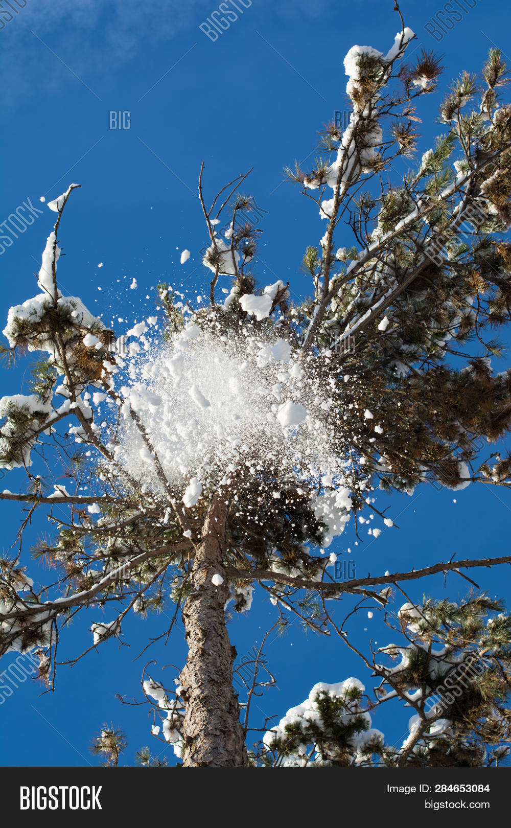 Snow Melting Falling Image & Photo (Free Trial) | Bigstock