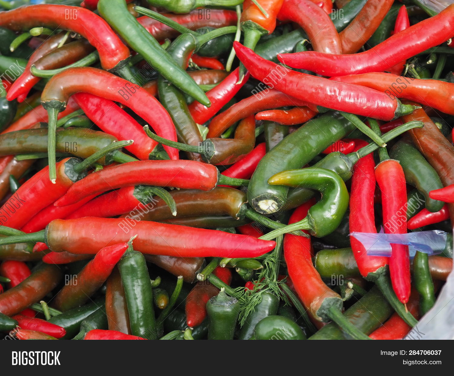 Colorful Fresh Peppers Image & Photo (Free Trial) | Bigstock
