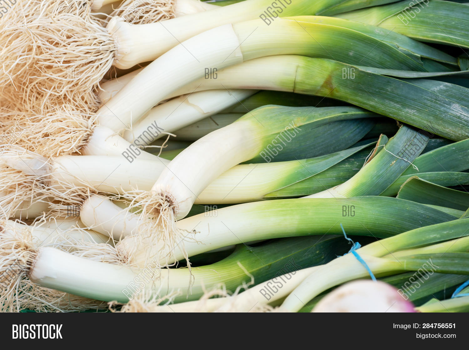Bunch Fresh Organic Image & Photo (Free Trial) | Bigstock