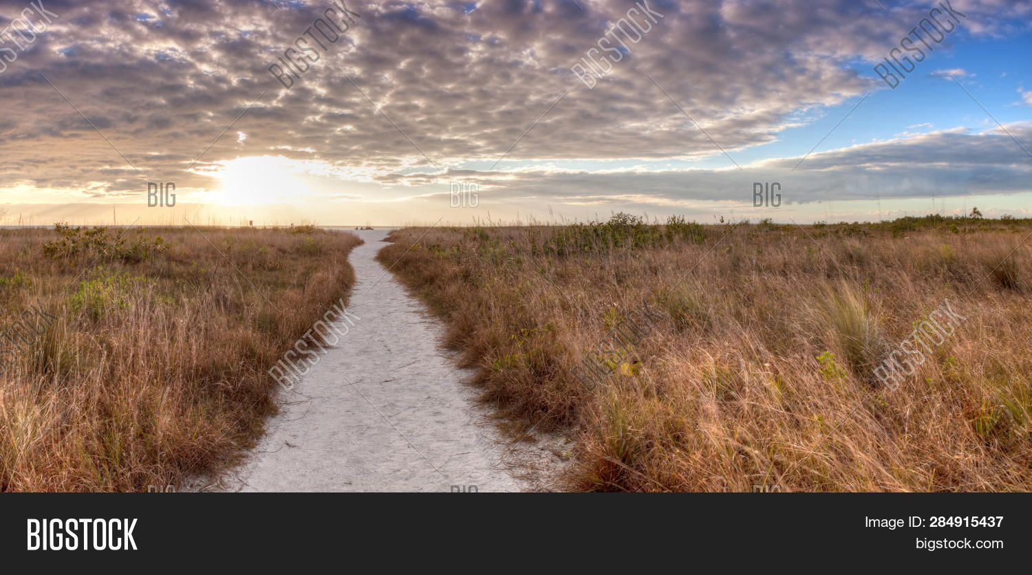 White Sand Path Image & Photo (Free Trial) | Bigstock