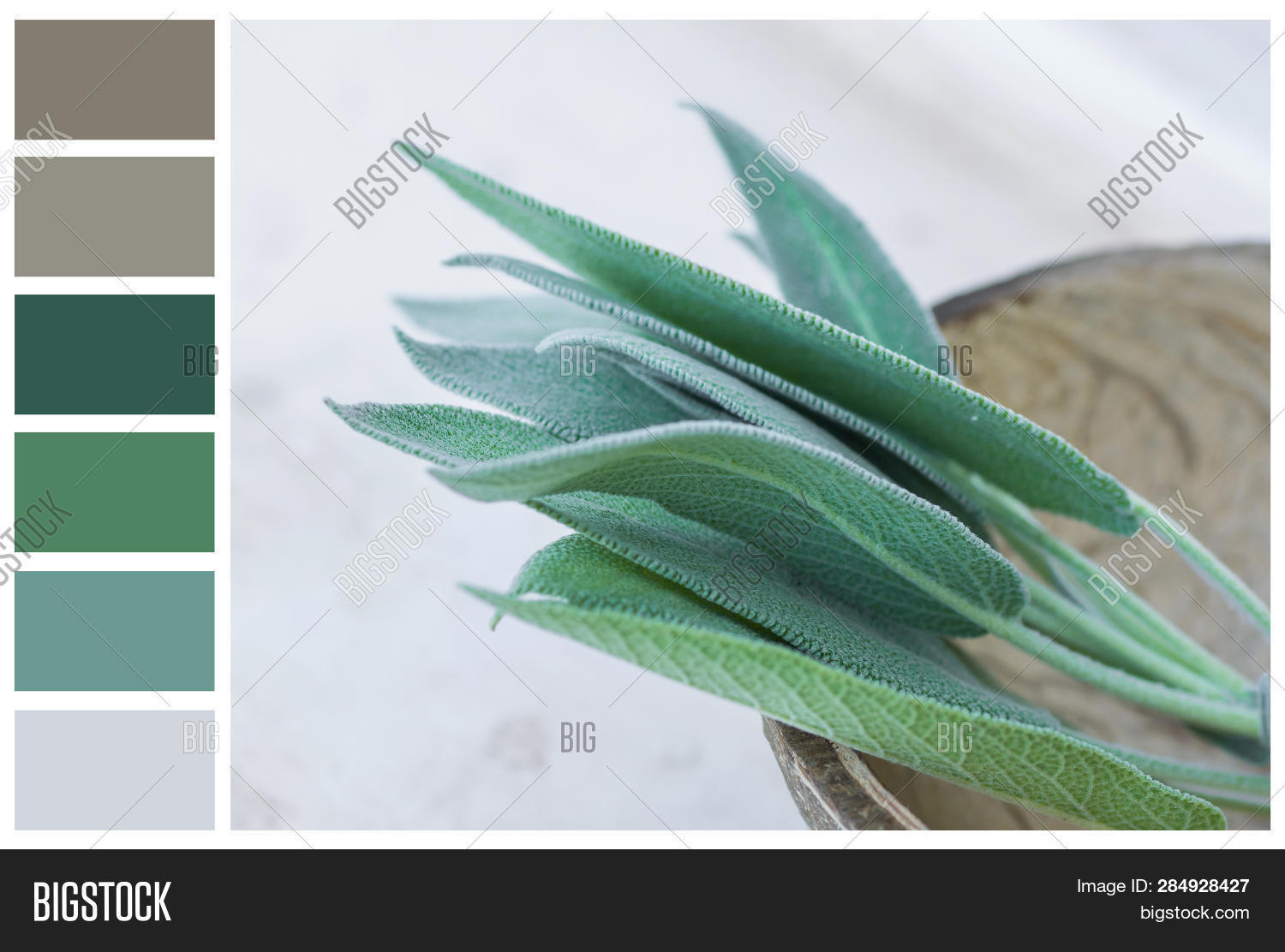 Earth Greenery Color Image & Photo (Free Trial) | Bigstock