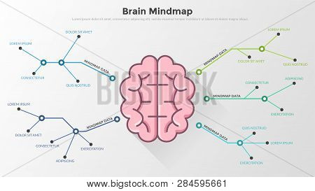 Flowchart Workflow Vector & Photo (Free Trial) | Bigstock