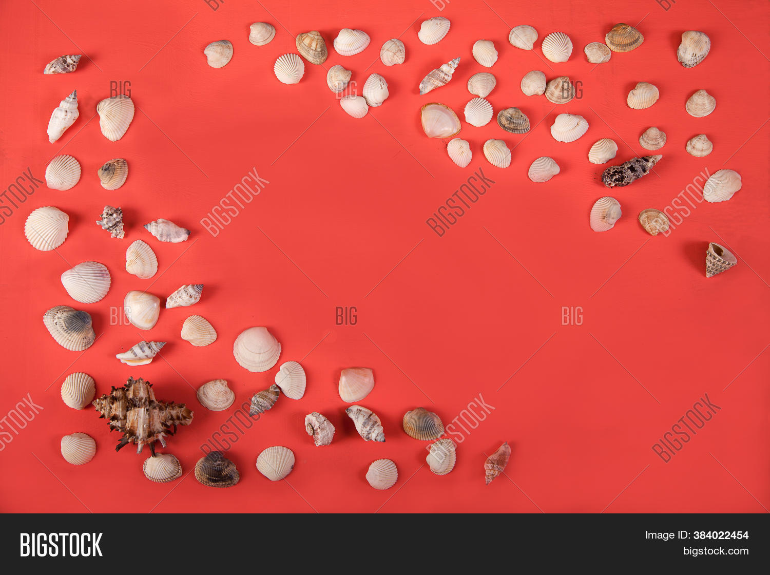 Scattered Small Sea Image & Photo (Free Trial) | Bigstock
