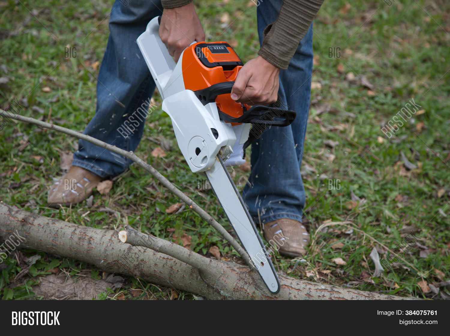 Man Cuts Branches Off Image & Photo (Free Trial) | Bigstock