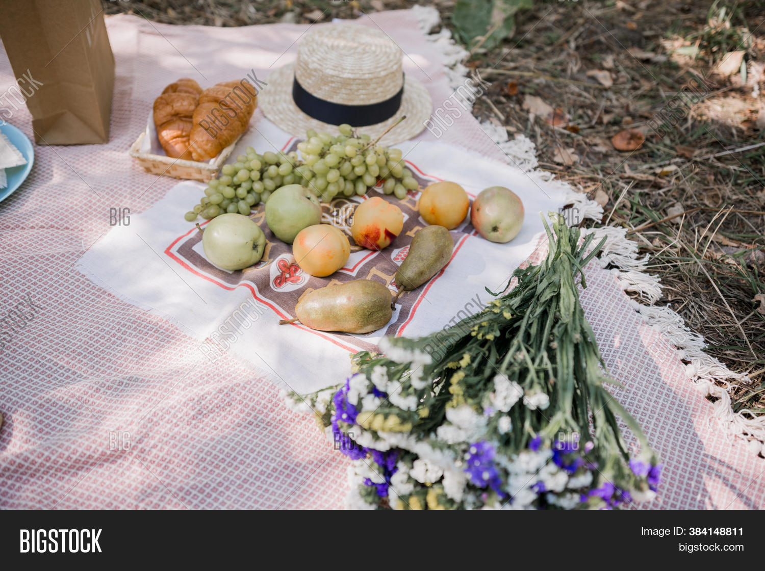 Fruits On Picnic Park Image & Photo (Free Trial) | Bigstock