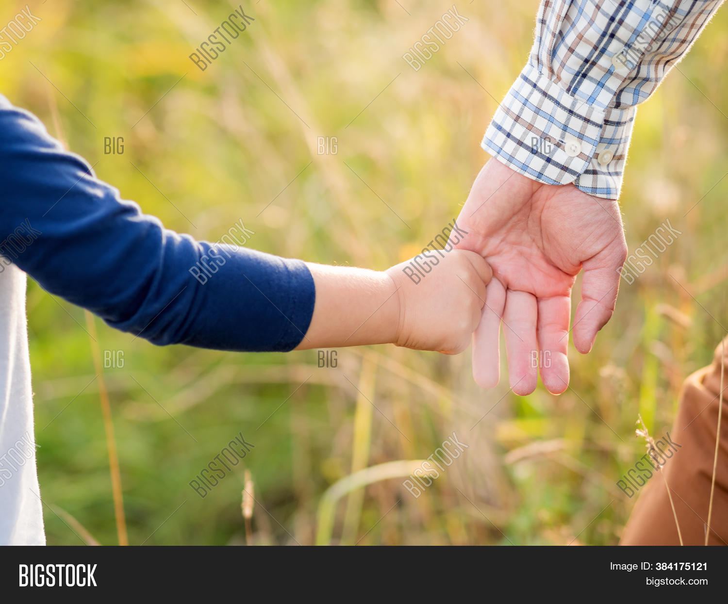 Father Son Hold Hands Image & Photo (Free Trial) | Bigstock