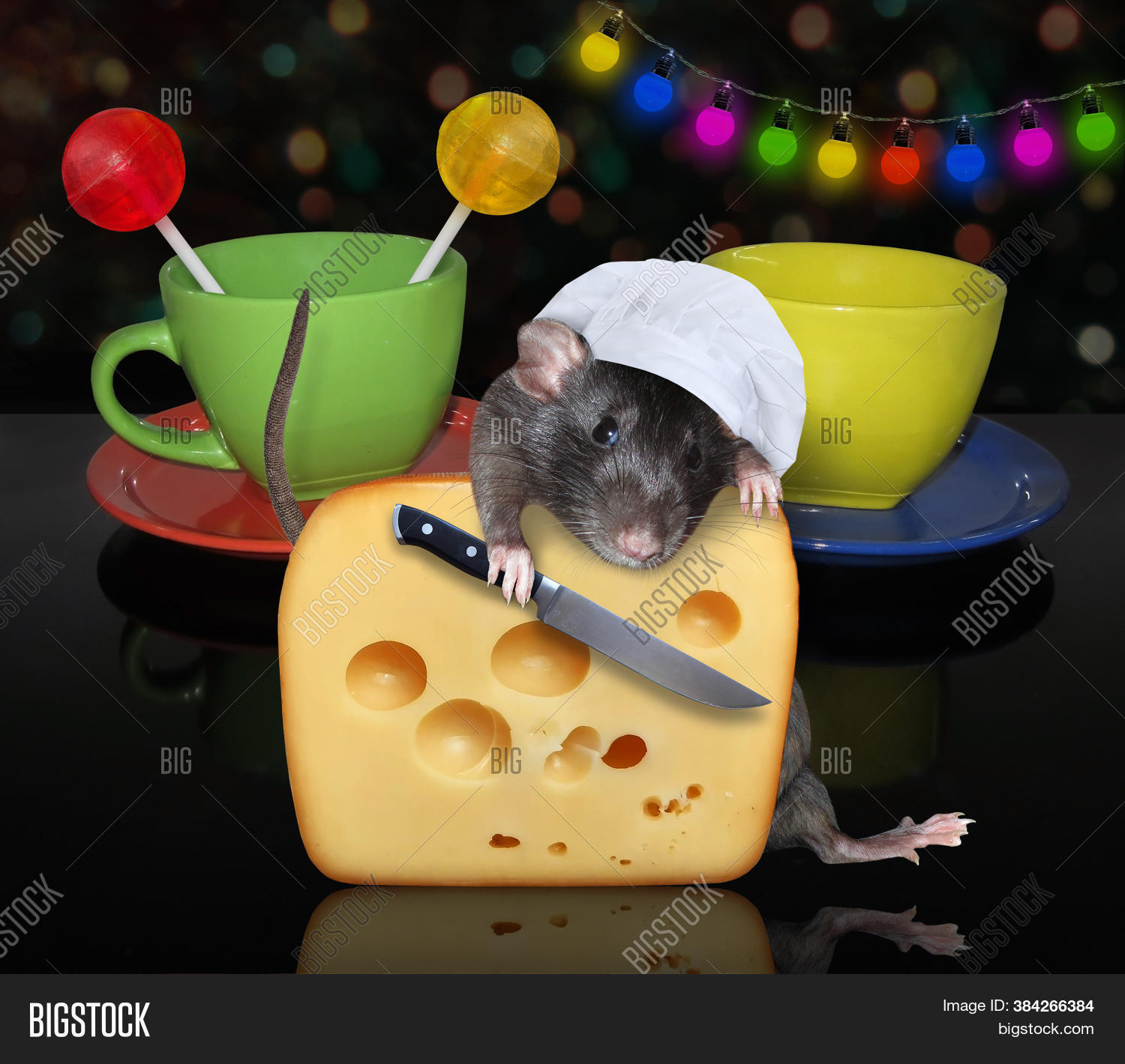 Black Rat Cook Chef Image & Photo (Free Trial) | Bigstock
