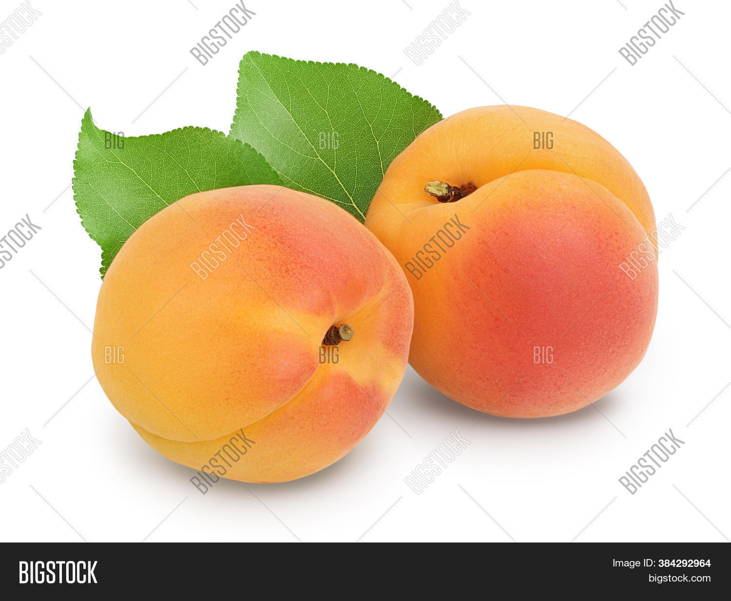 Apricot Fruit Isolated Image & Photo (Free Trial) | Bigstock