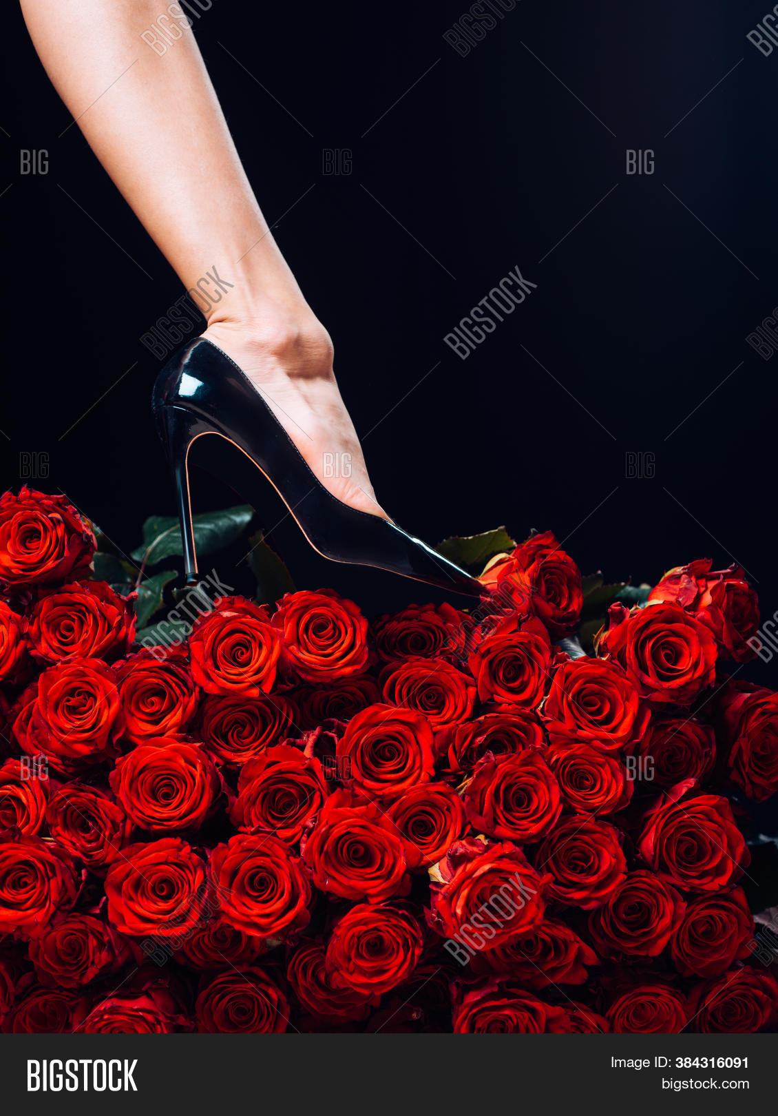 Sexy Woman Legs Rose Image & Photo (Free Trial) | Bigstock