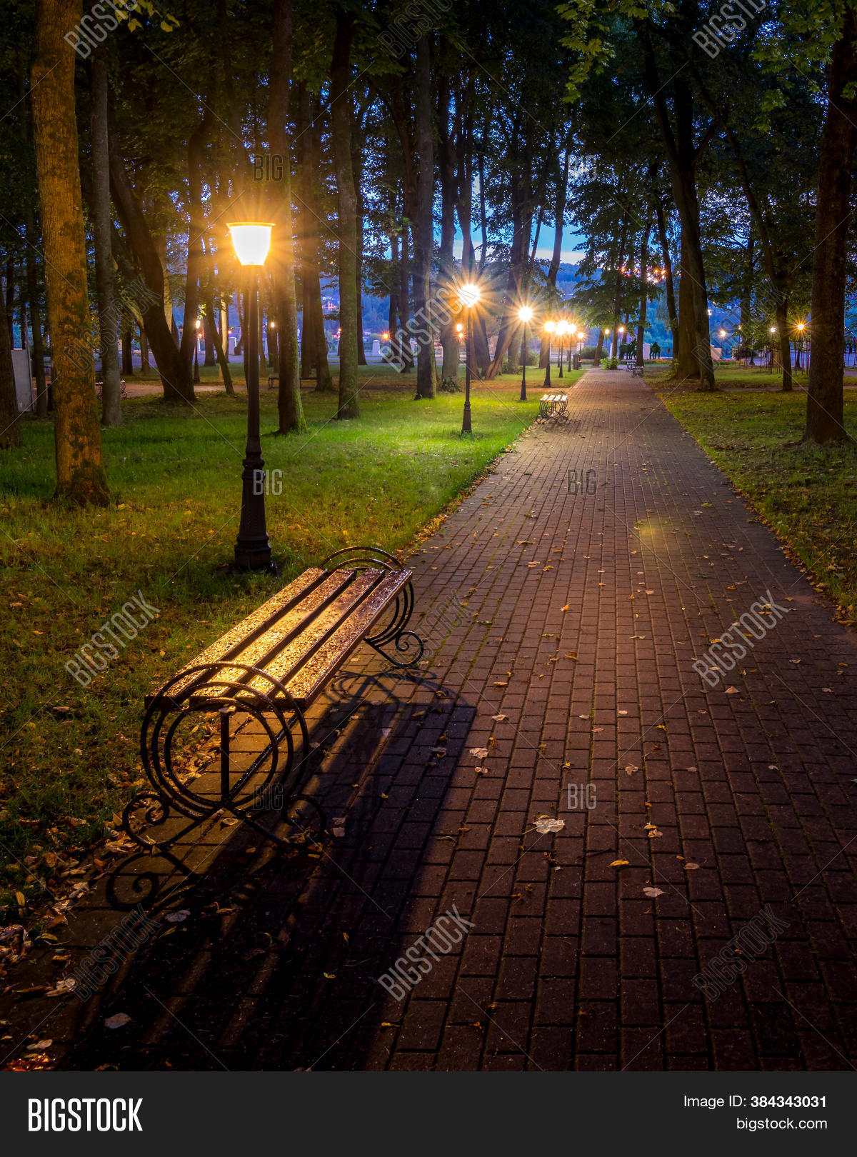 Night Park Lit By Image & Photo (Free Trial) | Bigstock