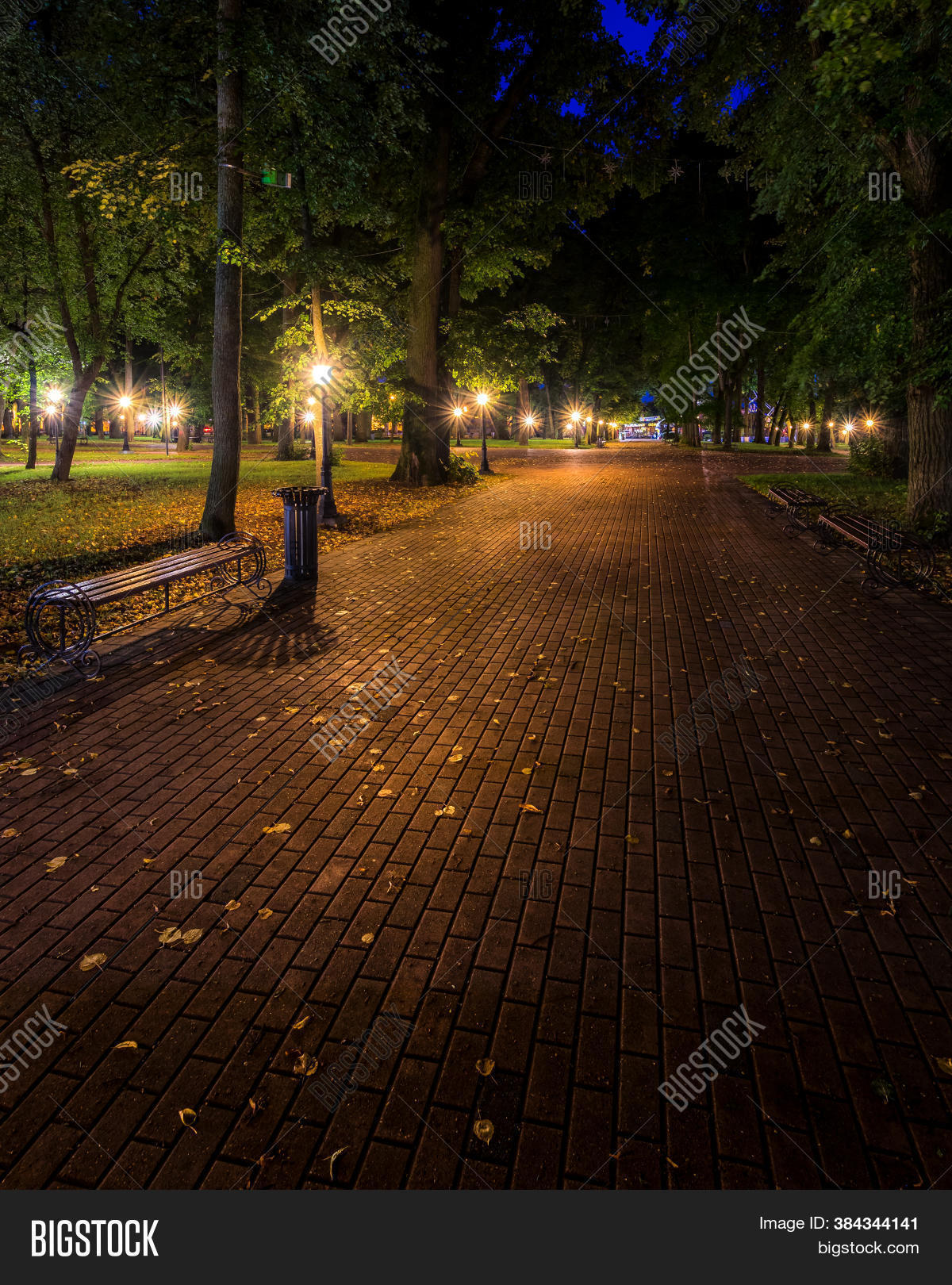 Night Park Lit By Image & Photo (Free Trial) | Bigstock