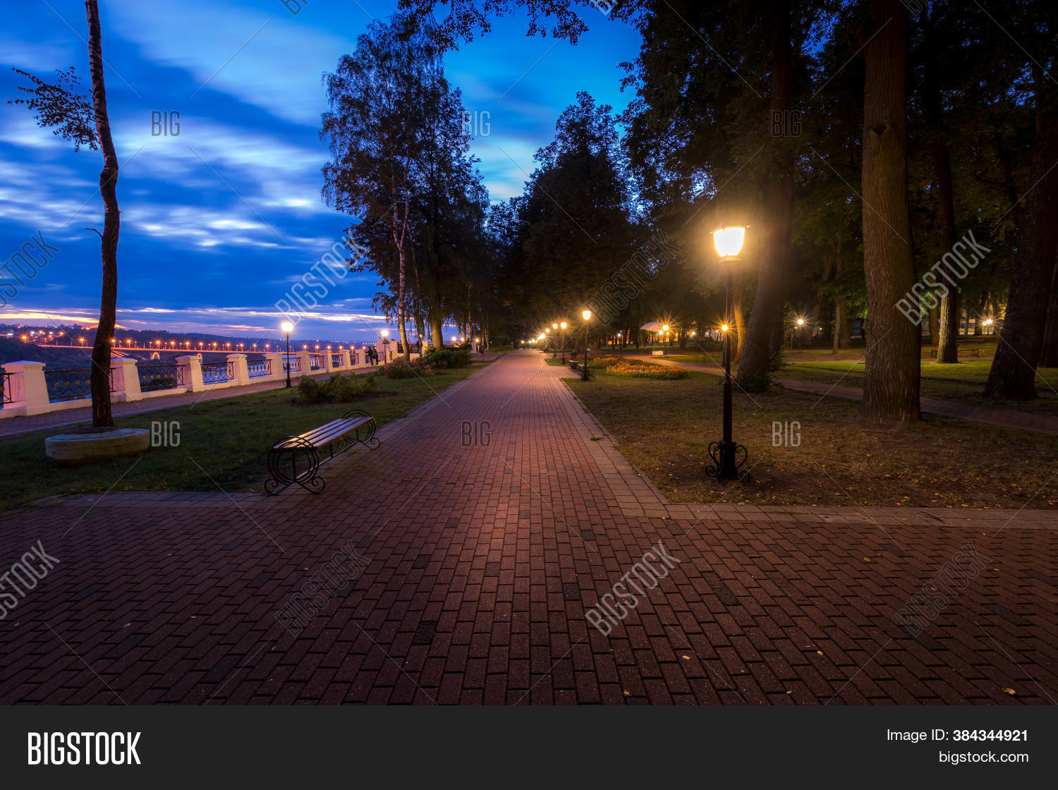 Night Park Lit By Image & Photo (Free Trial) | Bigstock