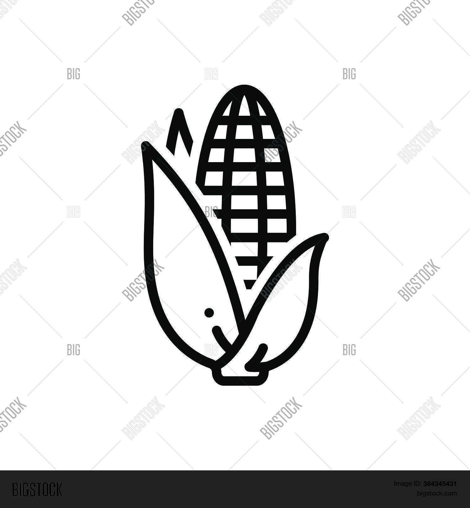 Black Line Icon Corn Vector & Photo (Free Trial) | Bigstock