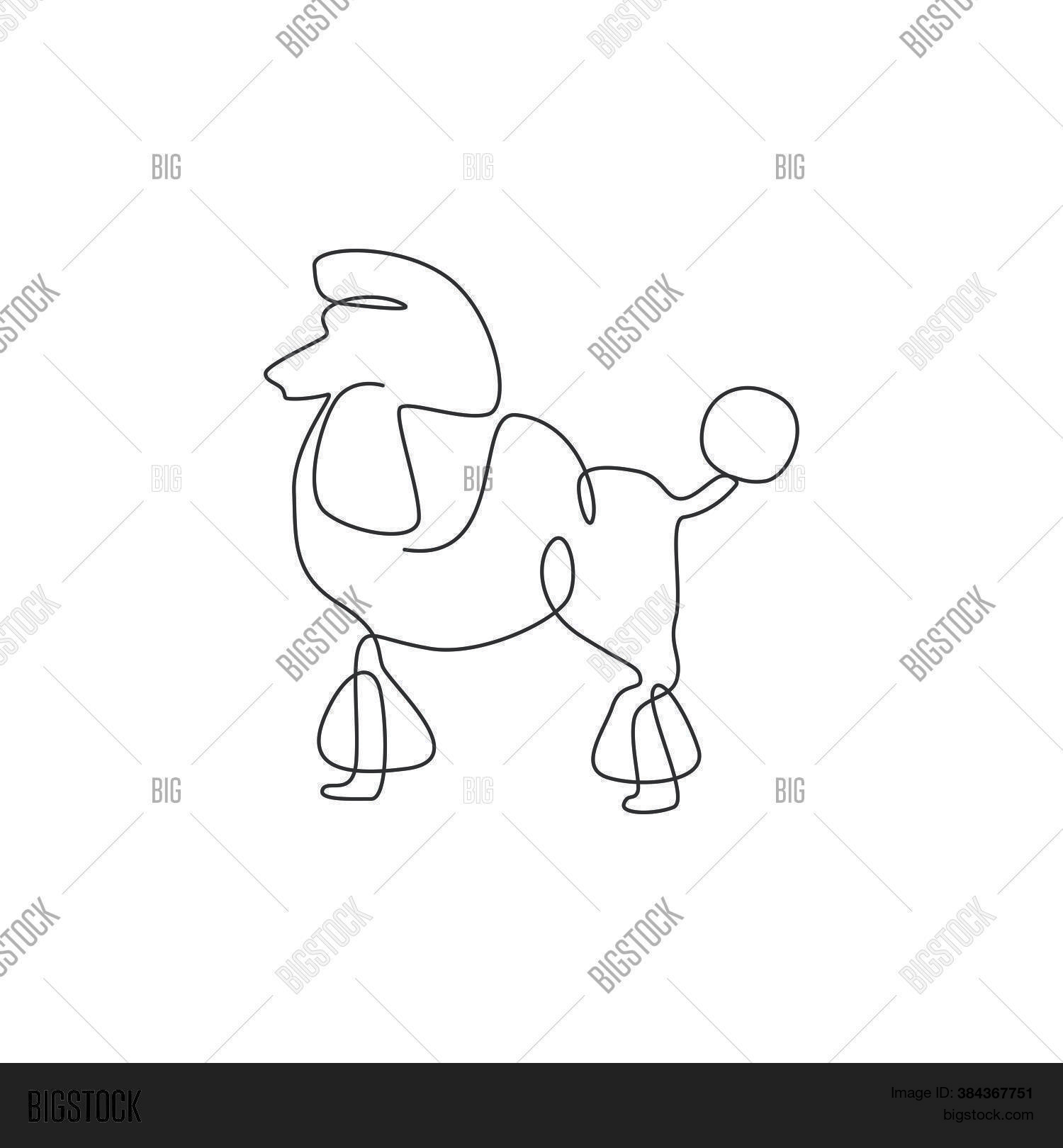 One Continuous Line Vector & Photo (Free Trial) | Bigstock