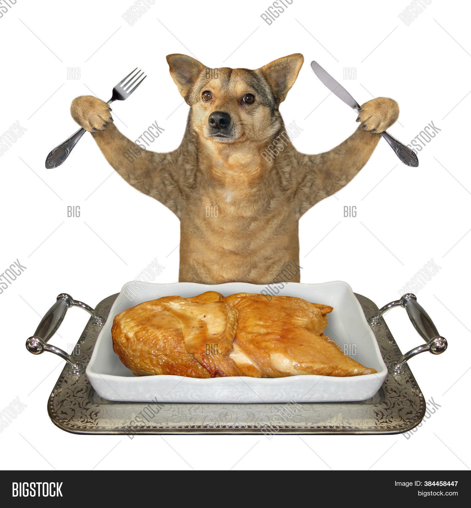 Beige Dog Knife Fork Image & Photo (Free Trial) | Bigstock
