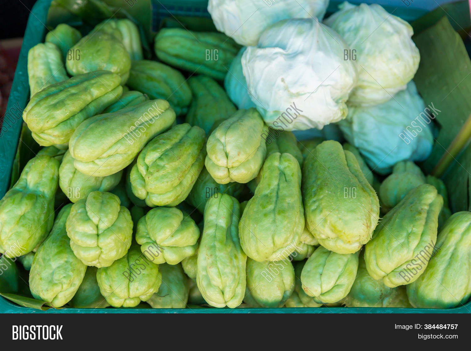 Fresh Chayotes ( Image & Photo (Free Trial) | Bigstock