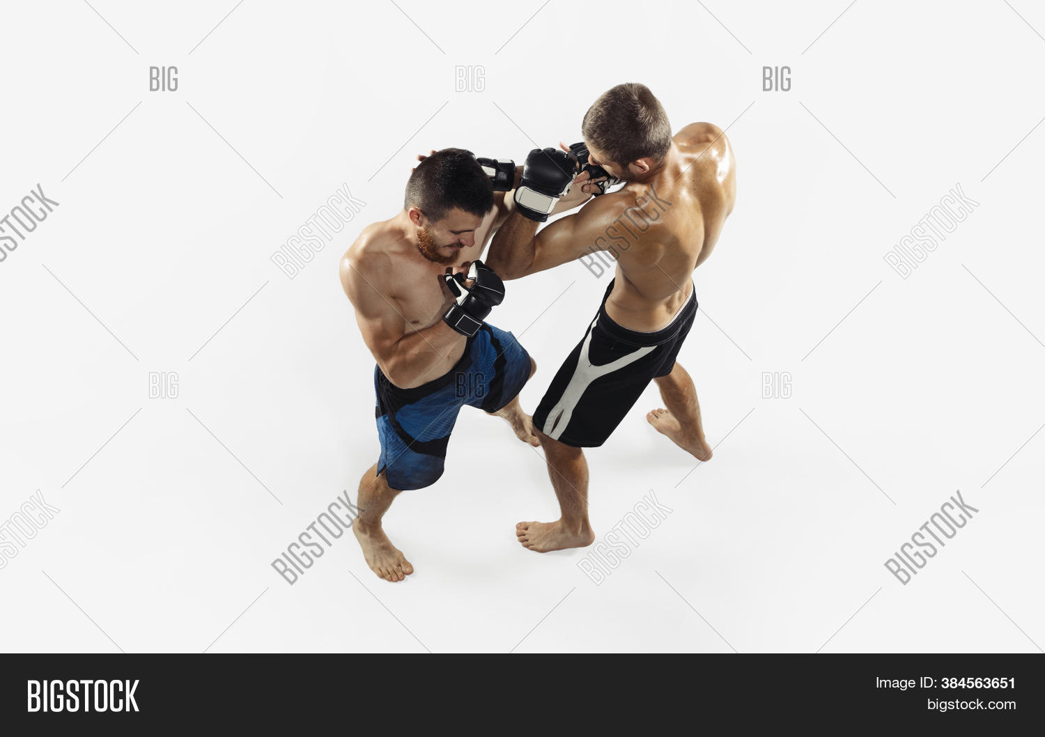 Two Professional Mma Image & Photo (Free Trial) | Bigstock