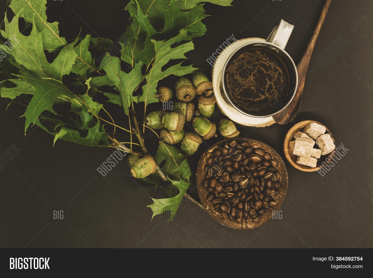 Oak Tree Acorns Coffee Image & Photo (Free Trial) | Bigstock