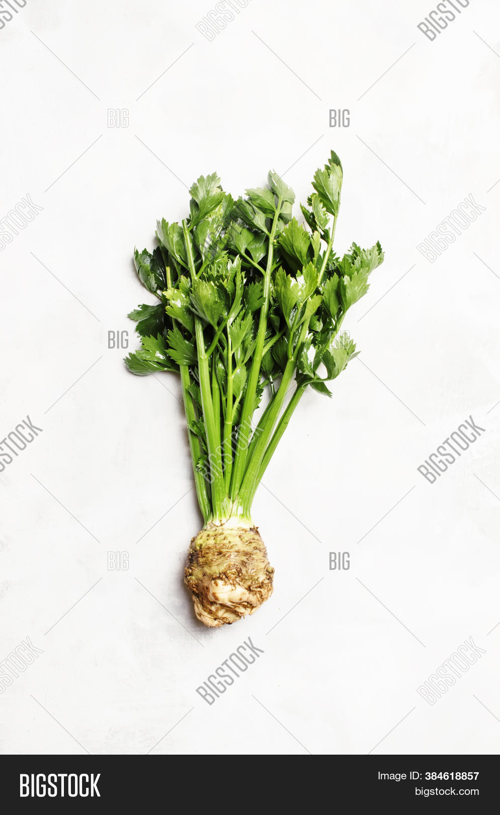 Root Celery Green Image & Photo (Free Trial) | Bigstock