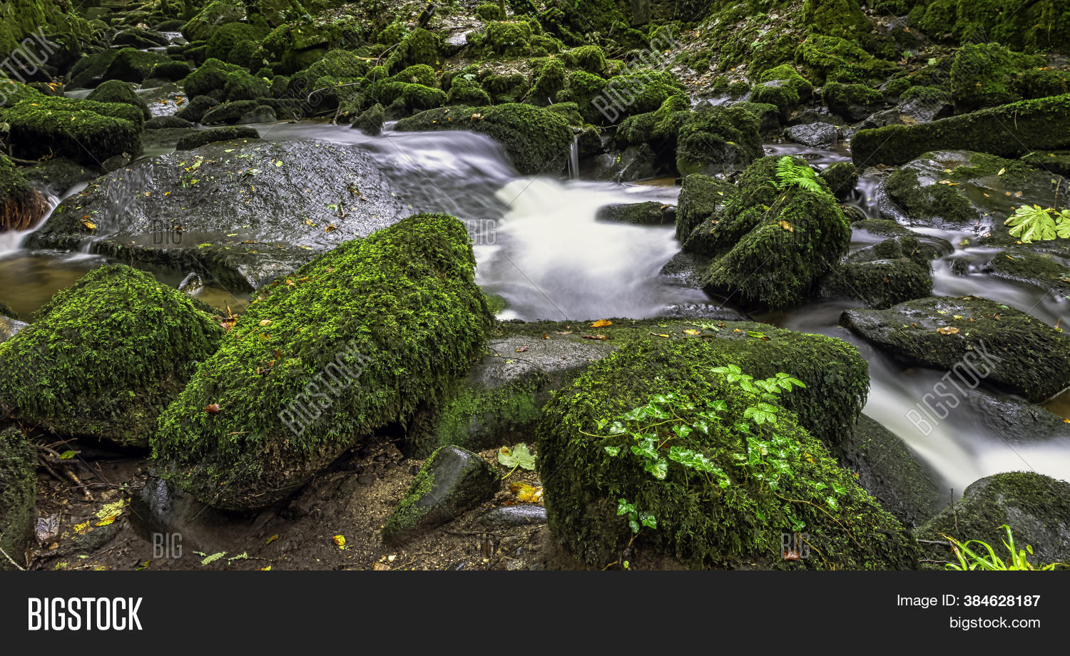 Kennall River Kennall Image & Photo (Free Trial) | Bigstock