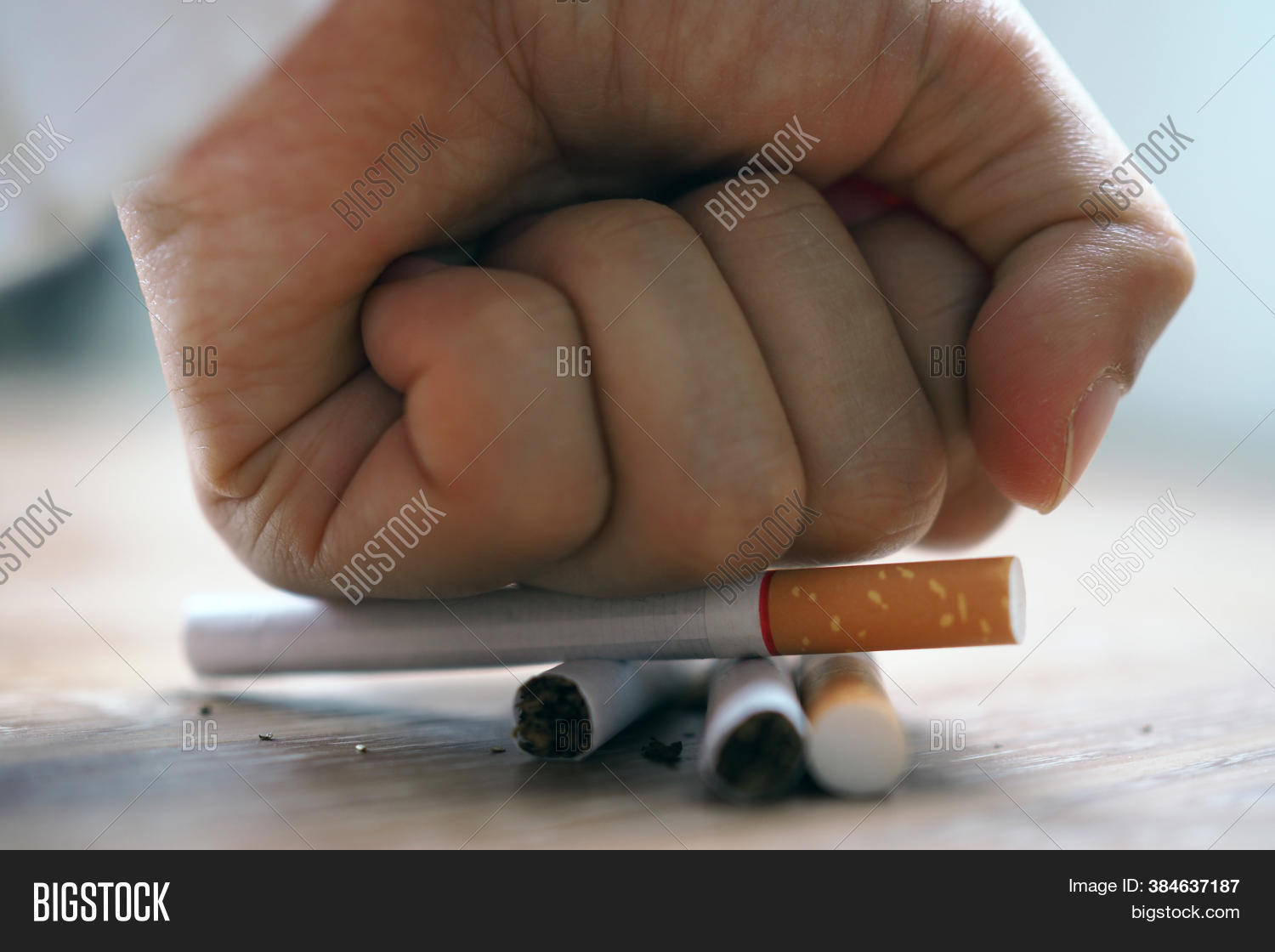 Hand Smashed Image & Photo (Free Trial) | Bigstock