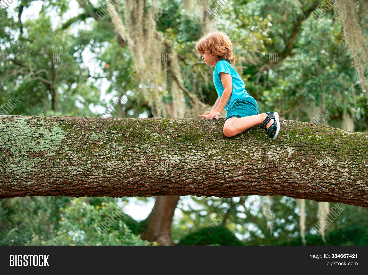 Kids Climbing Trees. Image & Photo (Free Trial) | Bigstock
