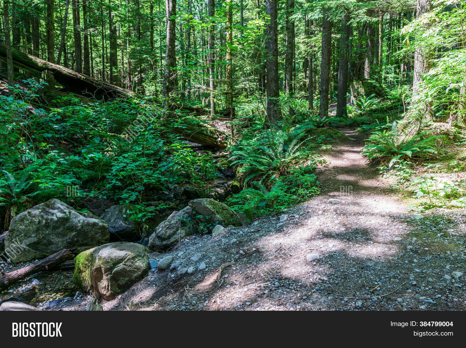 Empty Hiking Trail Image & Photo (Free Trial) | Bigstock