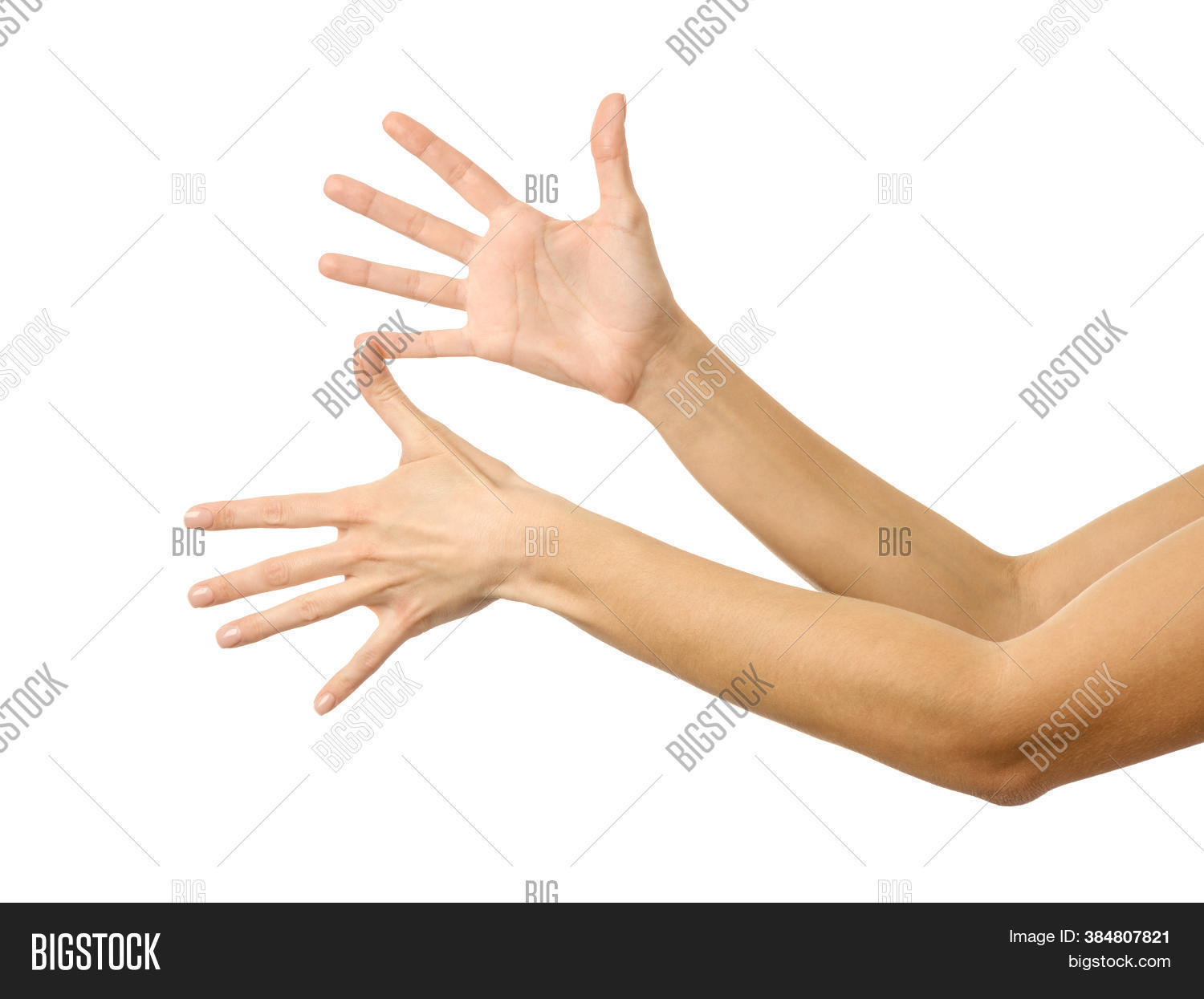 Two-handed Gesture. Image & Photo (Free Trial) | Bigstock