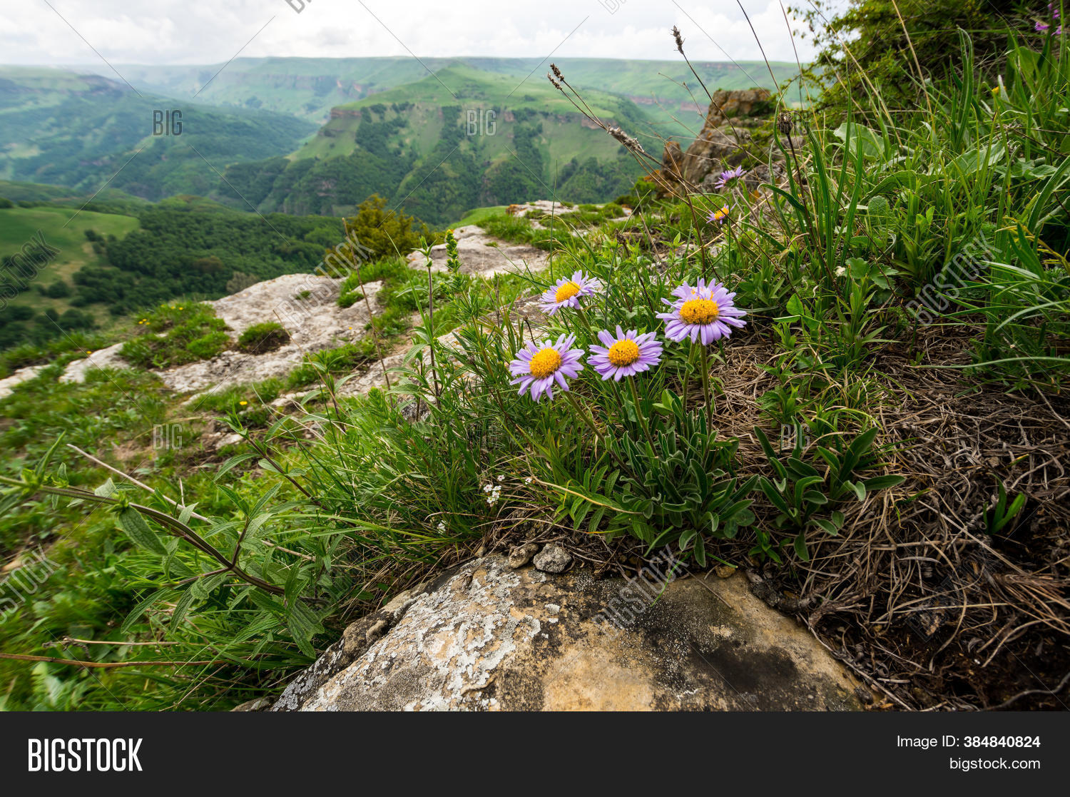 Panoramic View Image & Photo (Free Trial) | Bigstock