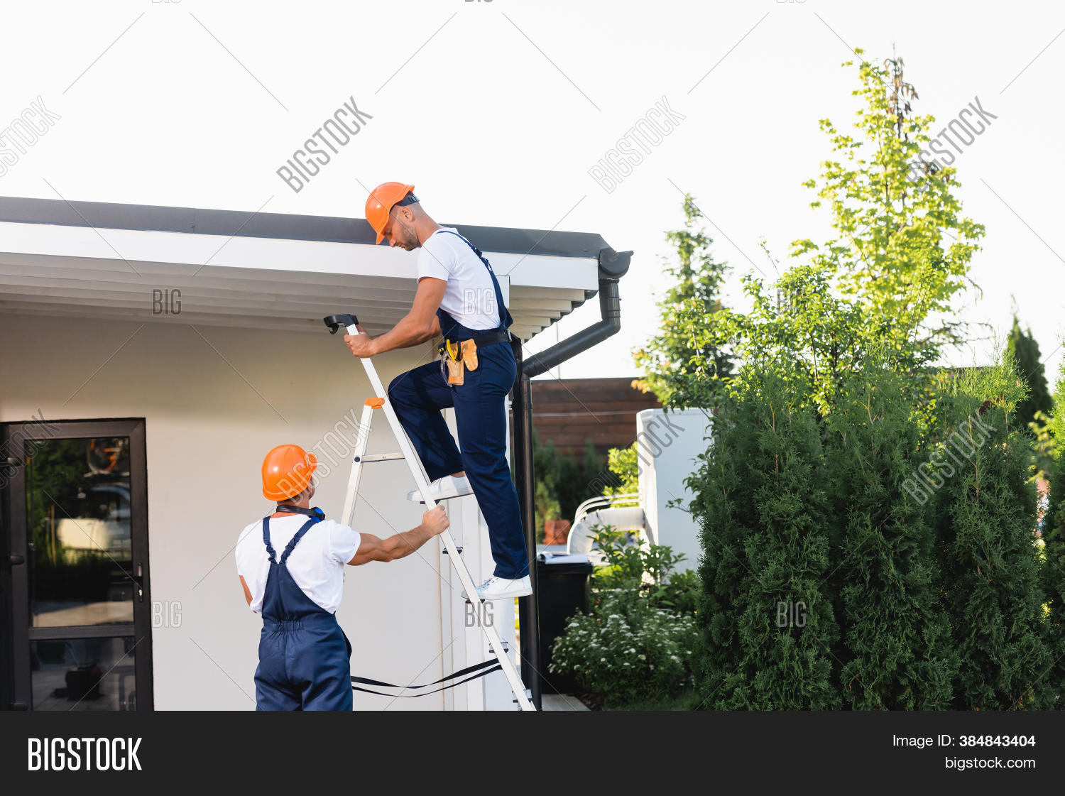 Builders Using Ladder Image & Photo (Free Trial) | Bigstock