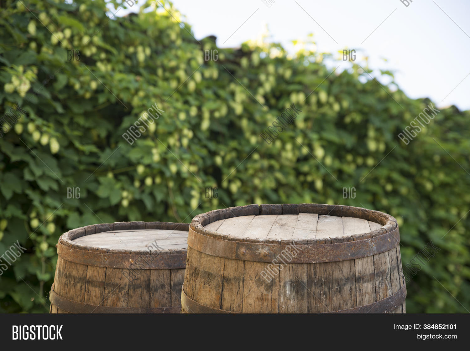 Still Life Keg Beer Image & Photo (Free Trial) | Bigstock