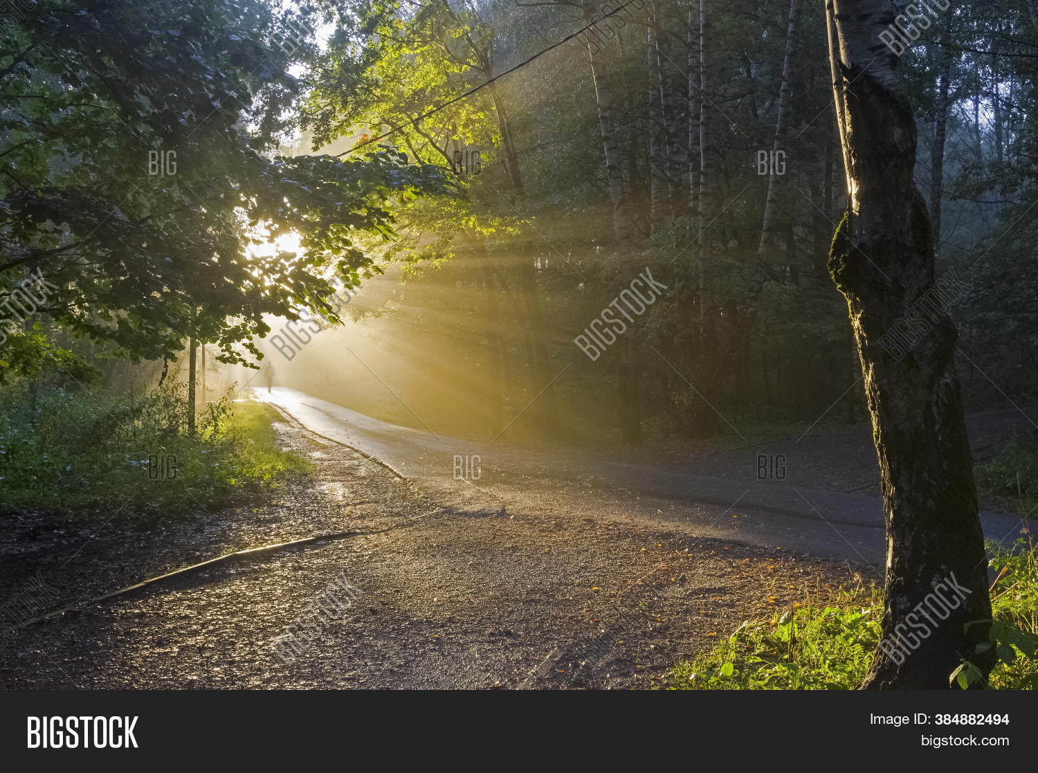 Sunbeams Through Fog Image & Photo (Free Trial) | Bigstock