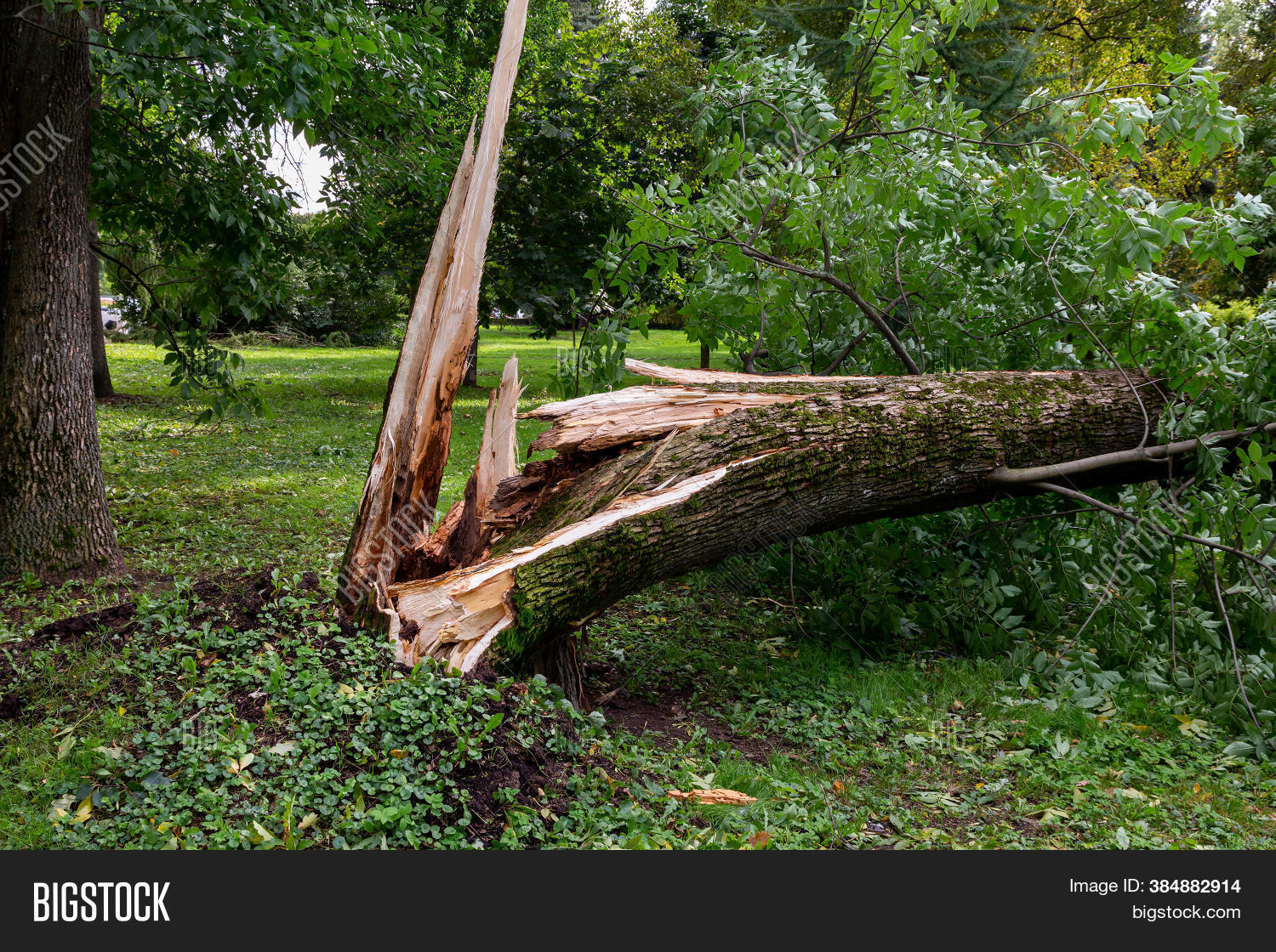 Strong Stormy Wind Image & Photo (Free Trial) | Bigstock